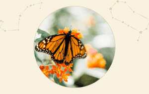 12 Universal Laws That Rule Our Lives (and How to Use Them) | Aglow ...