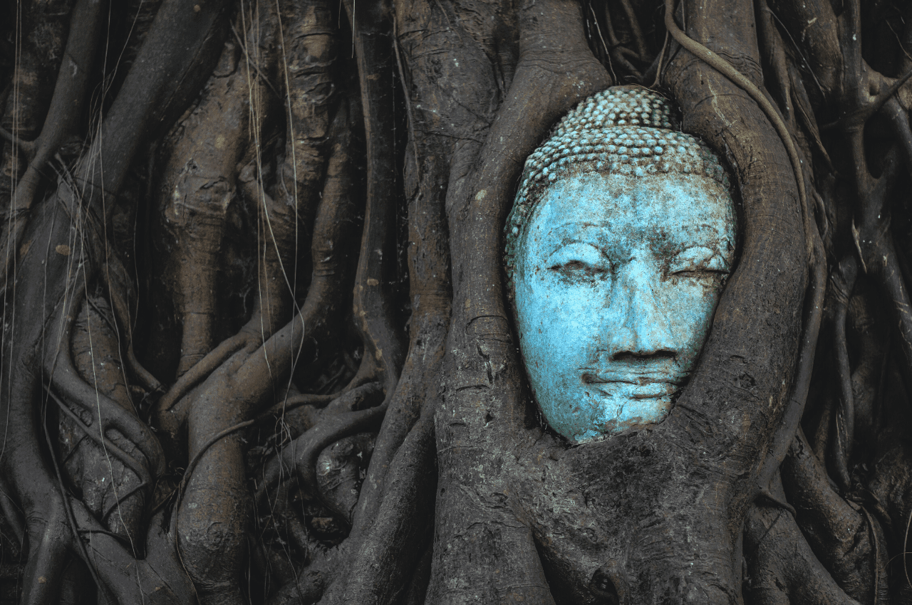 Does Enlightenment Happen Gradually? (Answered) | Aglow Lifestyle Does Enlightenment Happen Gradually? (Answered) | Aglow Lifestyle